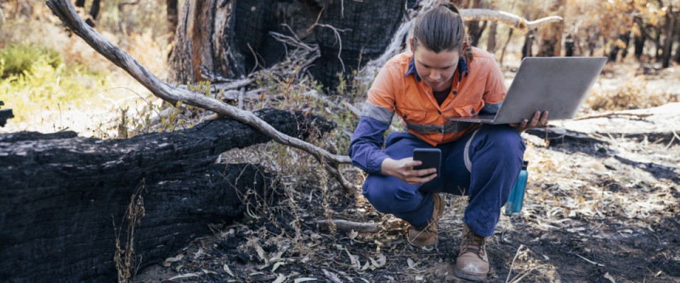 Environmental Scientist