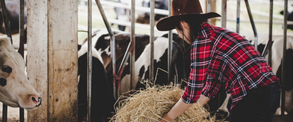Livestock Farm Worker