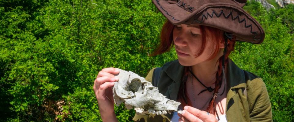Zoologists At Work I Want To Be A Zoologist And Work With Tigers
