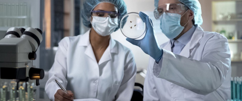 Life Science Technician