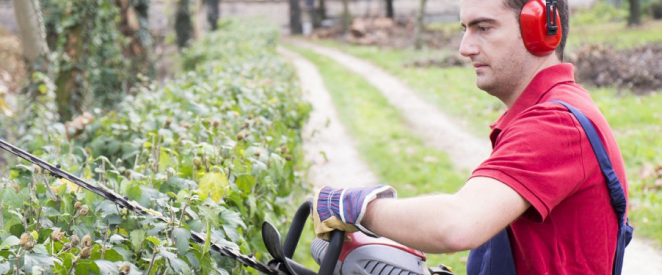 0 Gardener (General)