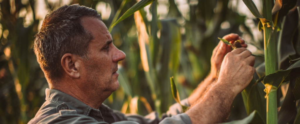 0 Grain, Oilseed and Pasture Farm Worker