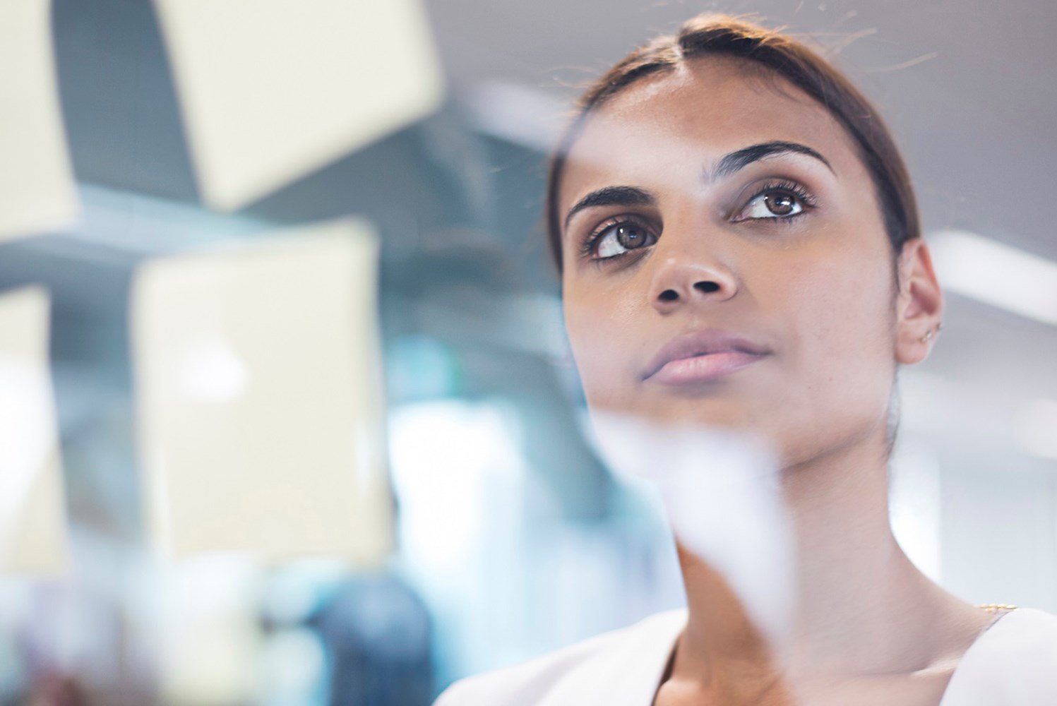 Follow the Dream Program