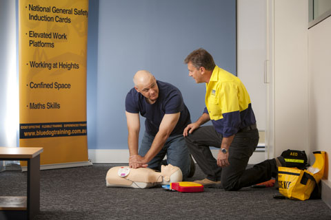 Image 1 provided by Blue Dog Training Pty Ltd